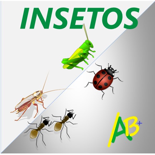Insetos: grilo, formiga, barata, borboleta - Celpe-Bras na Prática
